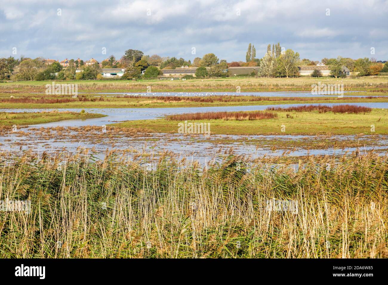 Hollesley marshes hi-res stock photography and images - Alamy
