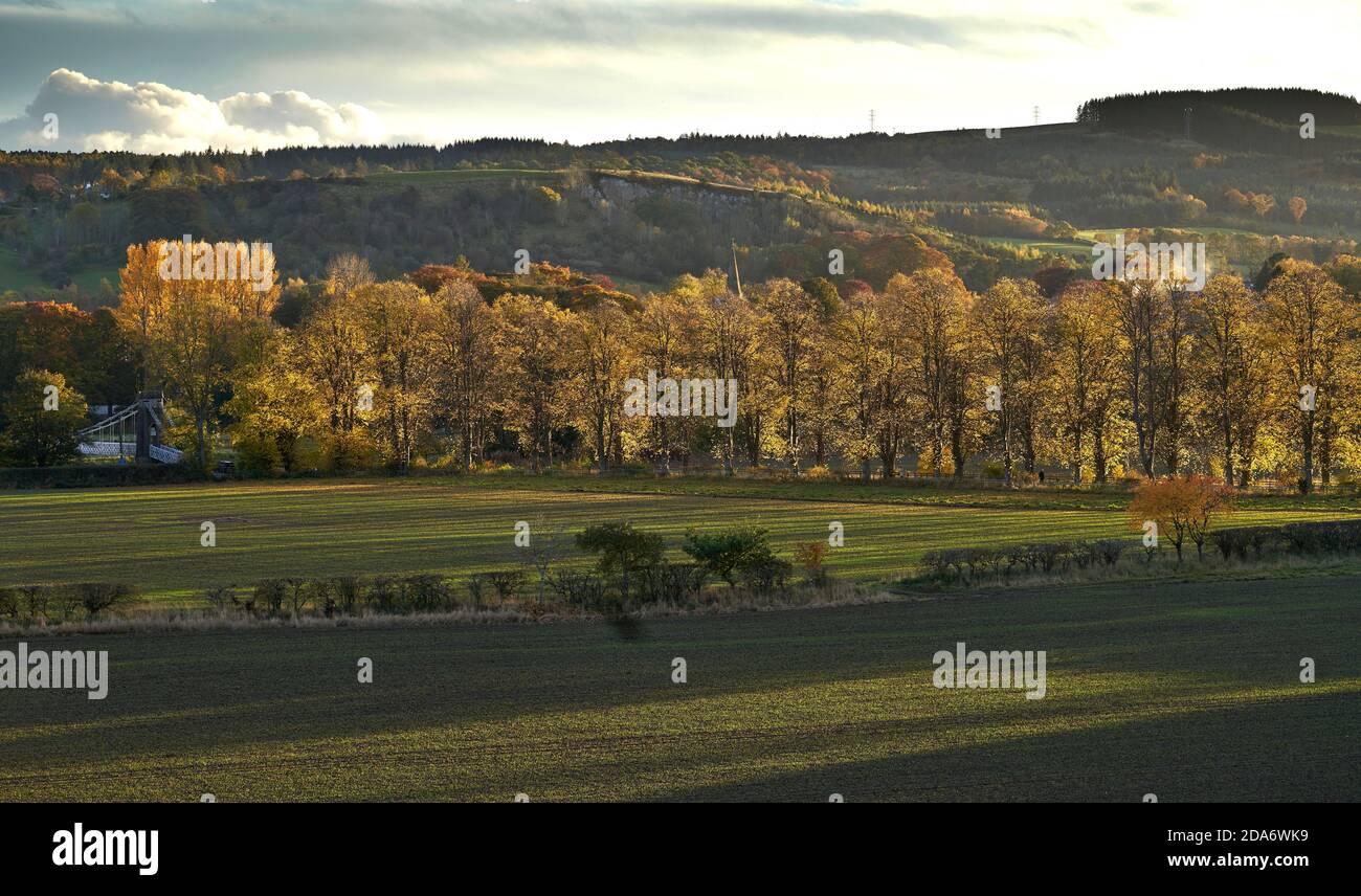 Gattonside hi-res stock photography and images - Alamy