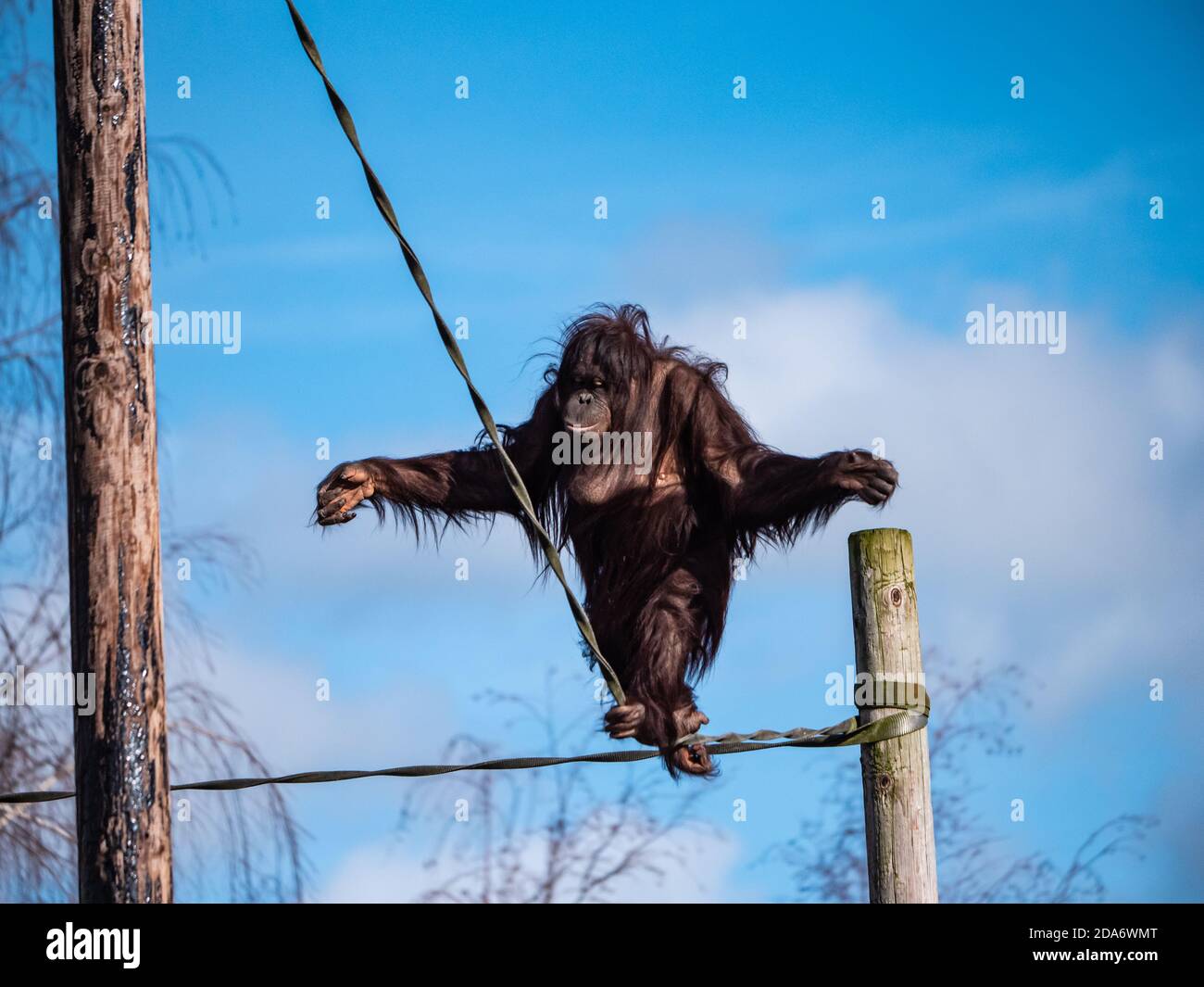 Tightrope walker pole hi-res stock photography and images - Alamy