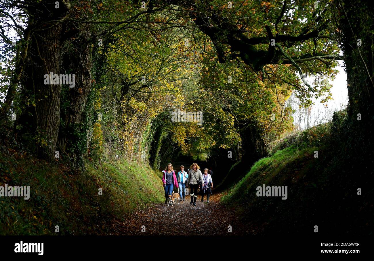 Ladies enjoy a walk through the trees along an ancient track in ...
