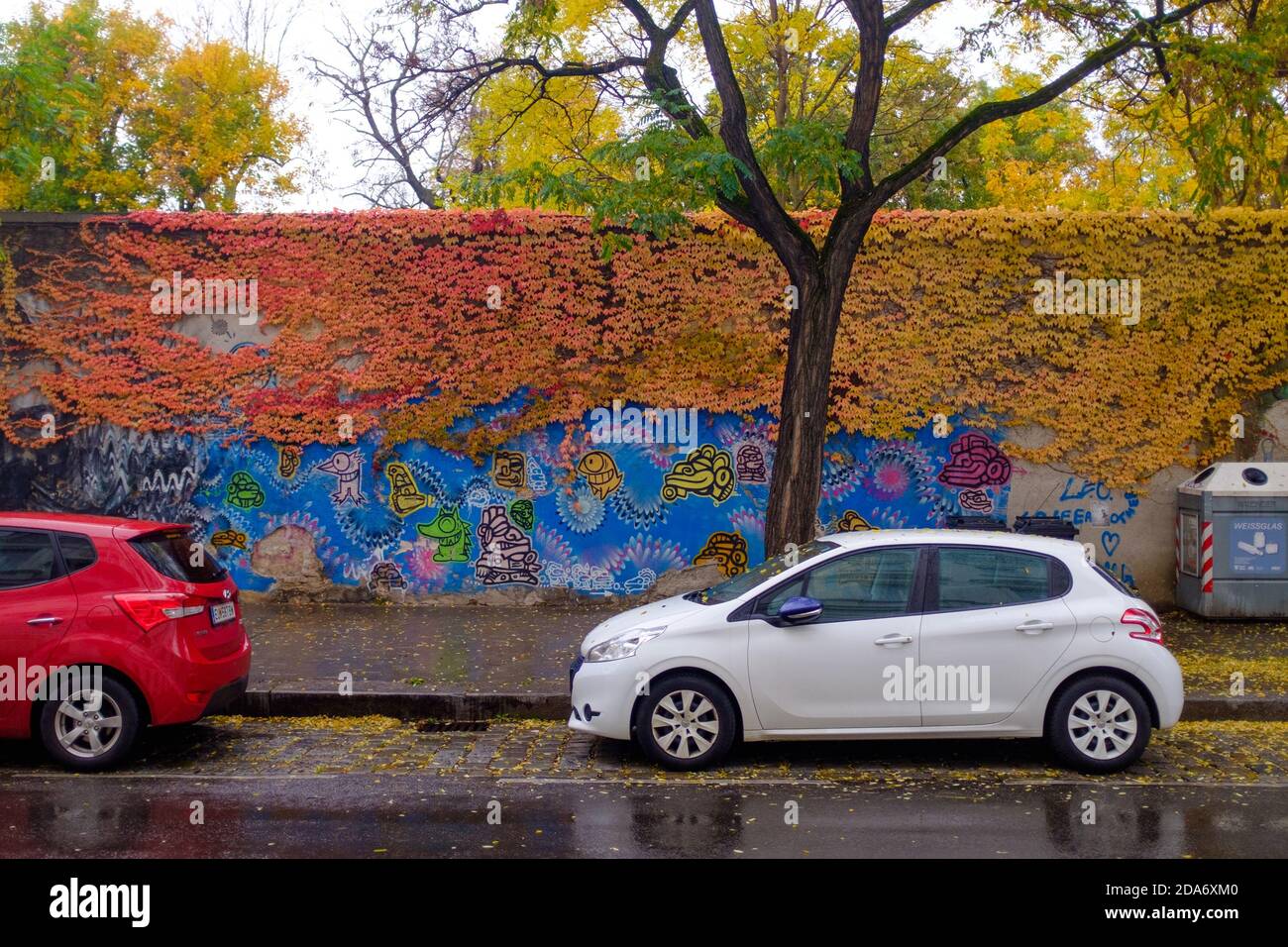 Colourful autumn leaves in a seasonal rainbow of red yellow and green ...
