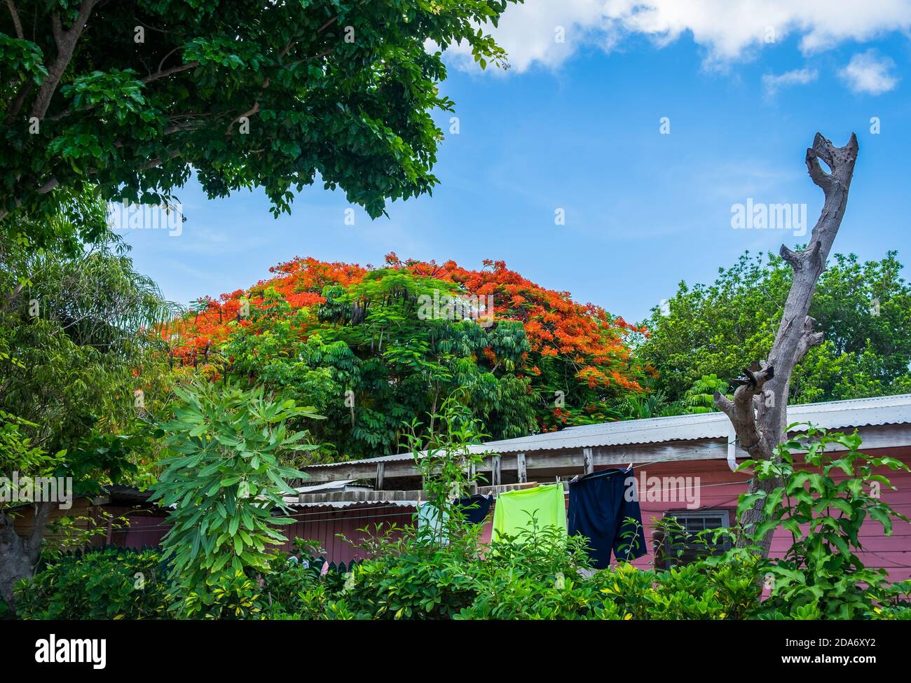 Traditional cayman house hi-res stock photography and images - Alamy