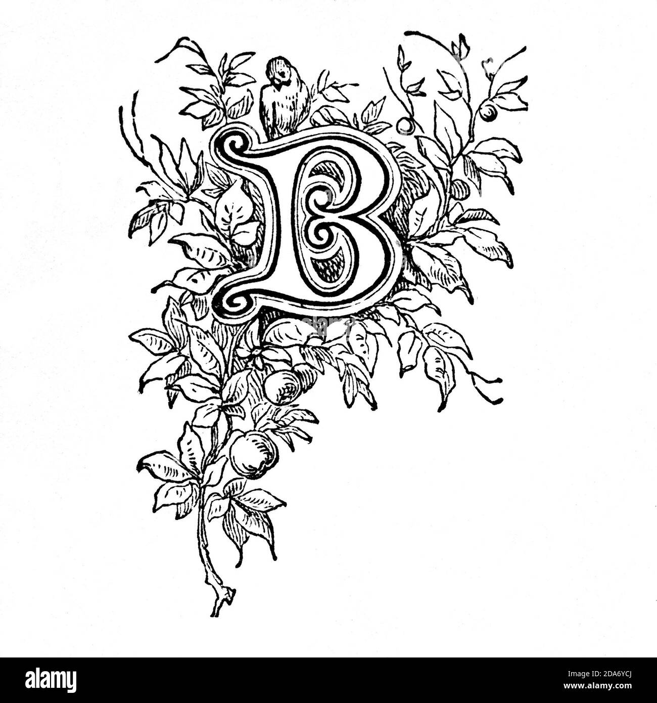 Lettering letter b hi-res stock photography and images - Alamy