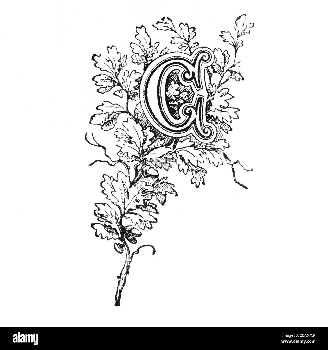 An ornately decorated letter used as an initial or drop cap at the ...