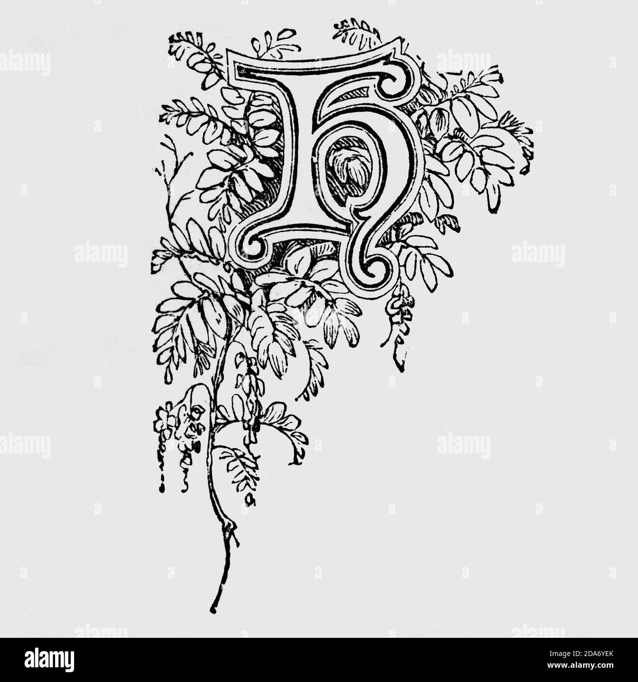 Larger alphabet hi-res stock photography and images - Alamy