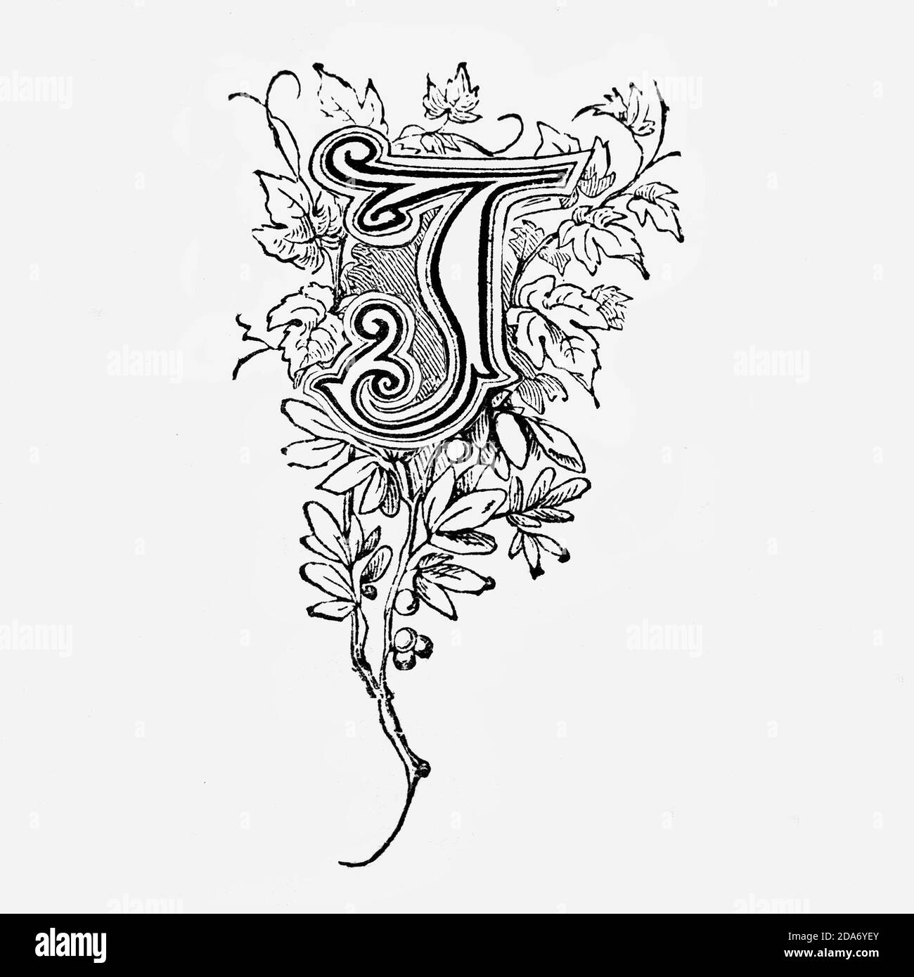 J Typography Font Letter Type High Resolution Stock Photography and ...