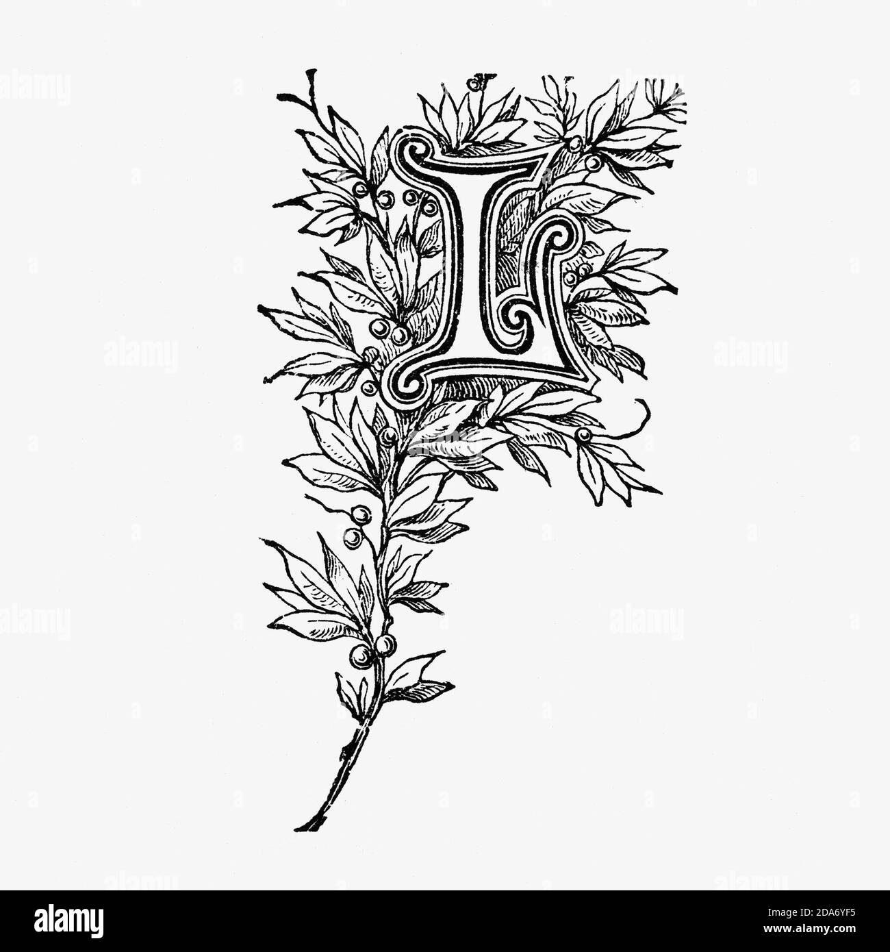 Pictorial alphabet hi-res stock photography and images - Alamy