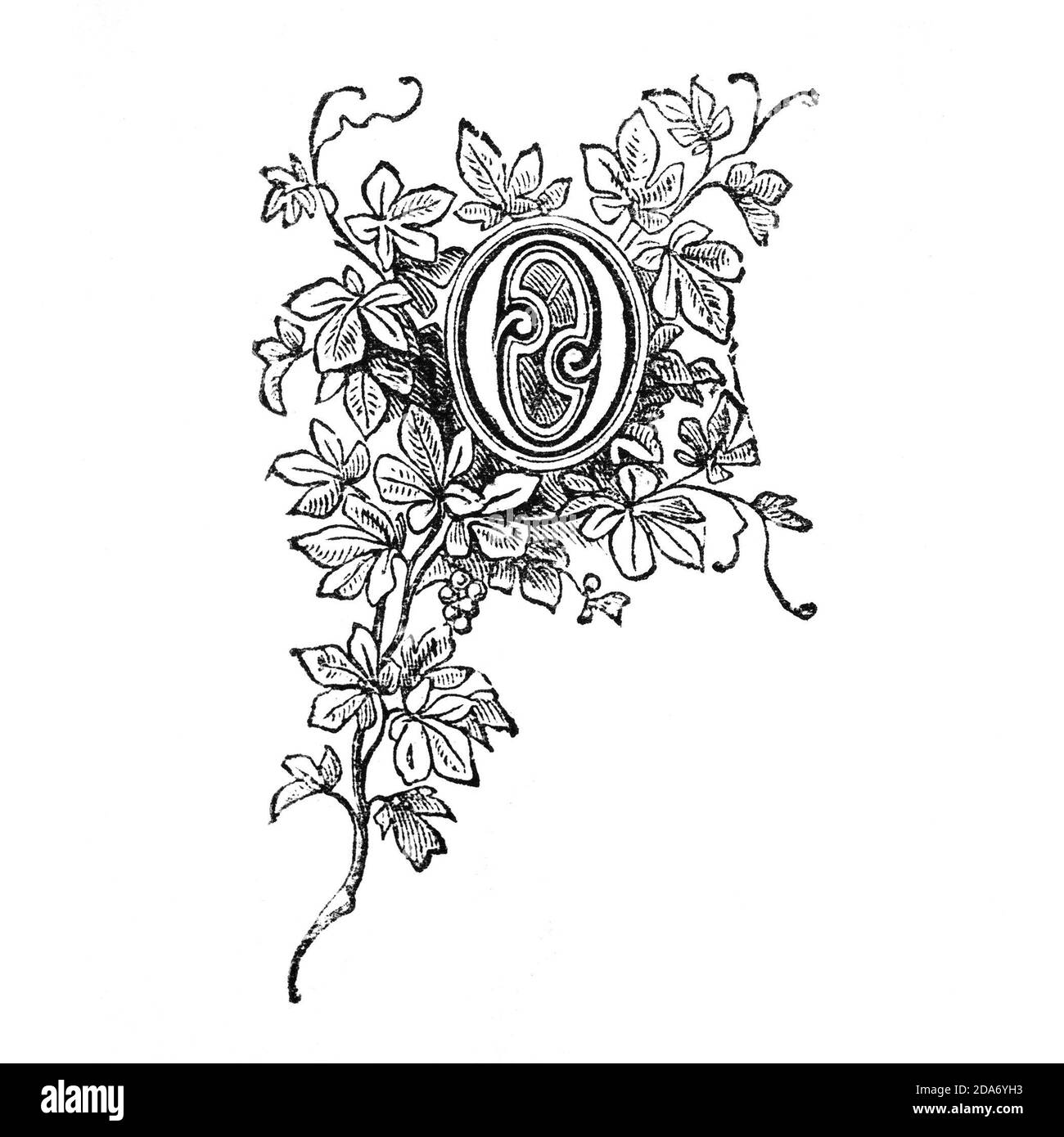 Pictorial alphabet hi-res stock photography and images - Alamy