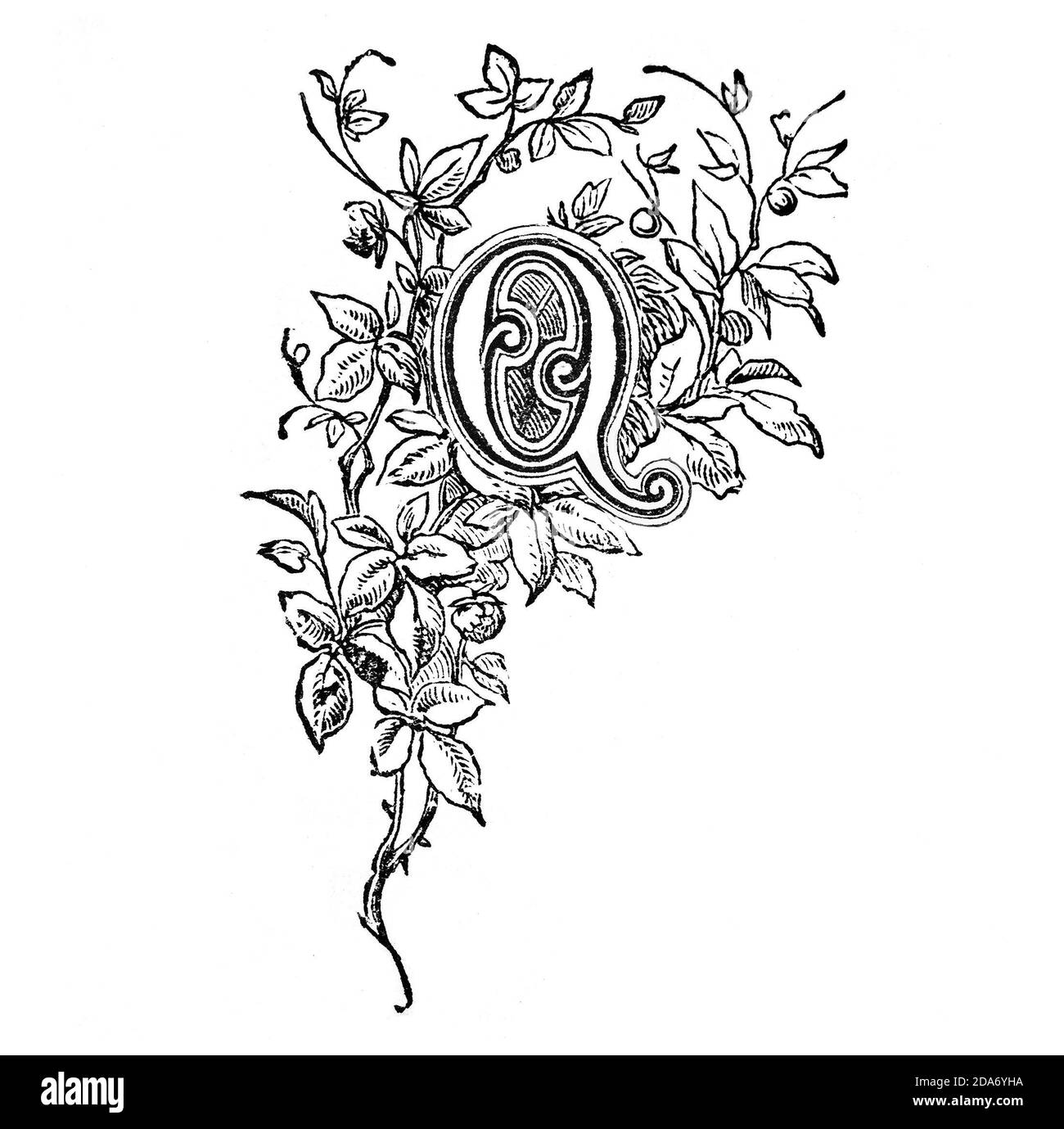 Decorative Drop Cap Initial