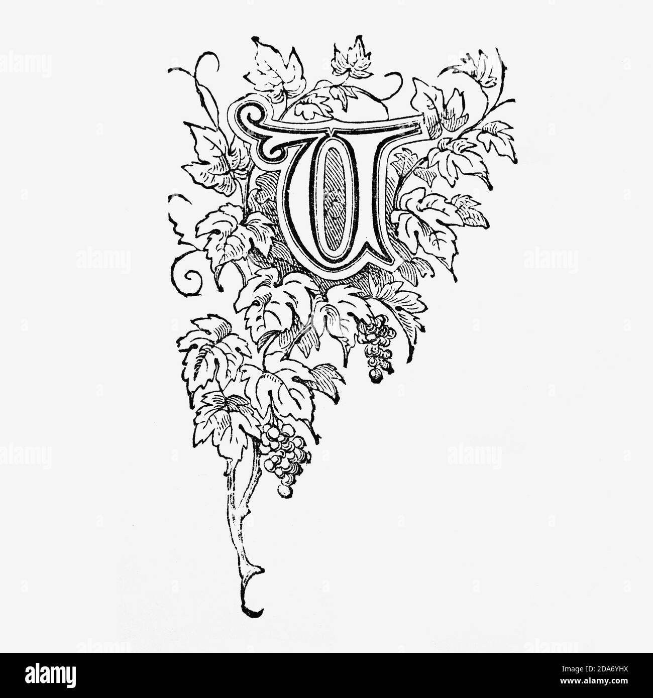 Letter u drawing hi-res stock photography and images - Alamy