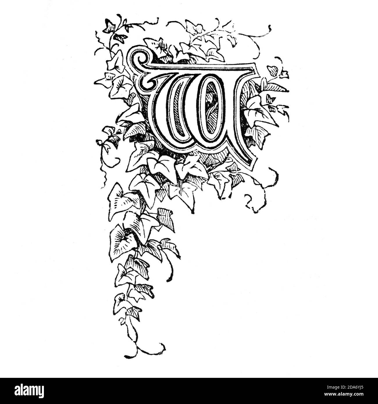 W typography font letter type hi-res stock photography and images - Alamy