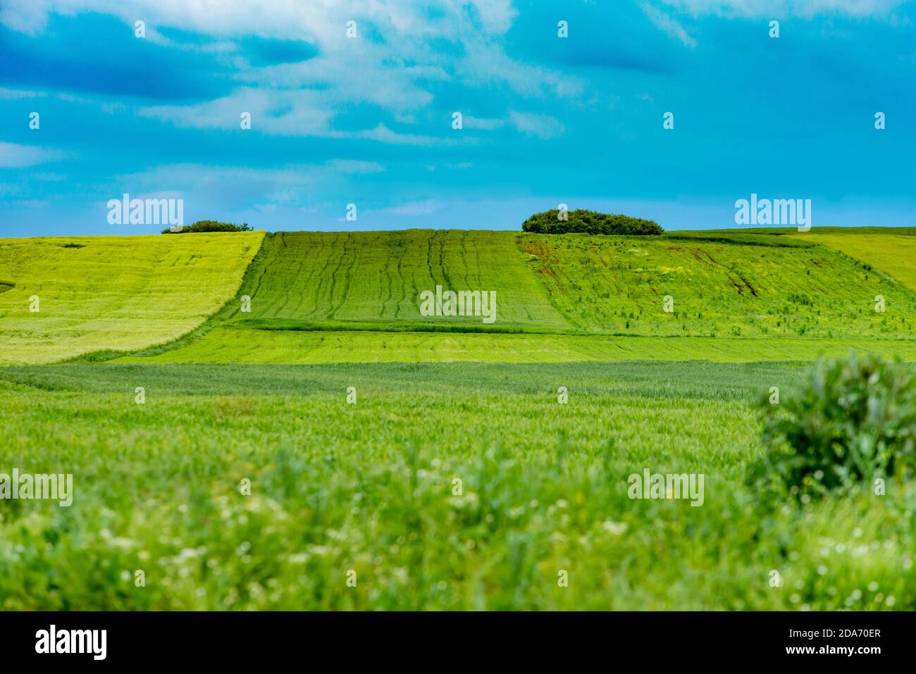 Hill slope hi-res stock photography and images - Alamy