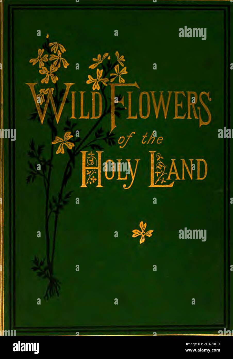 1800s book cover hi-res stock photography and images - Alamy