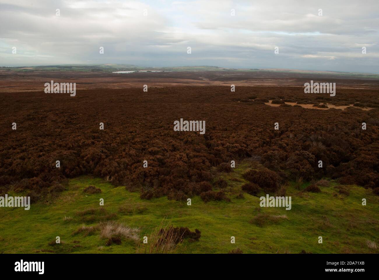 Yorkshire colours hi-res stock photography and images - Alamy