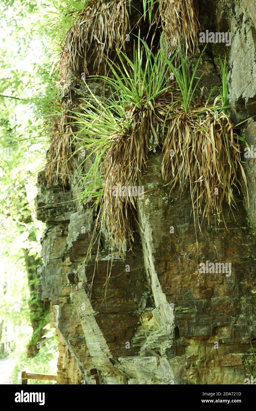 Overhanging cliff face and vegetation at High Force Waterfall natural ...