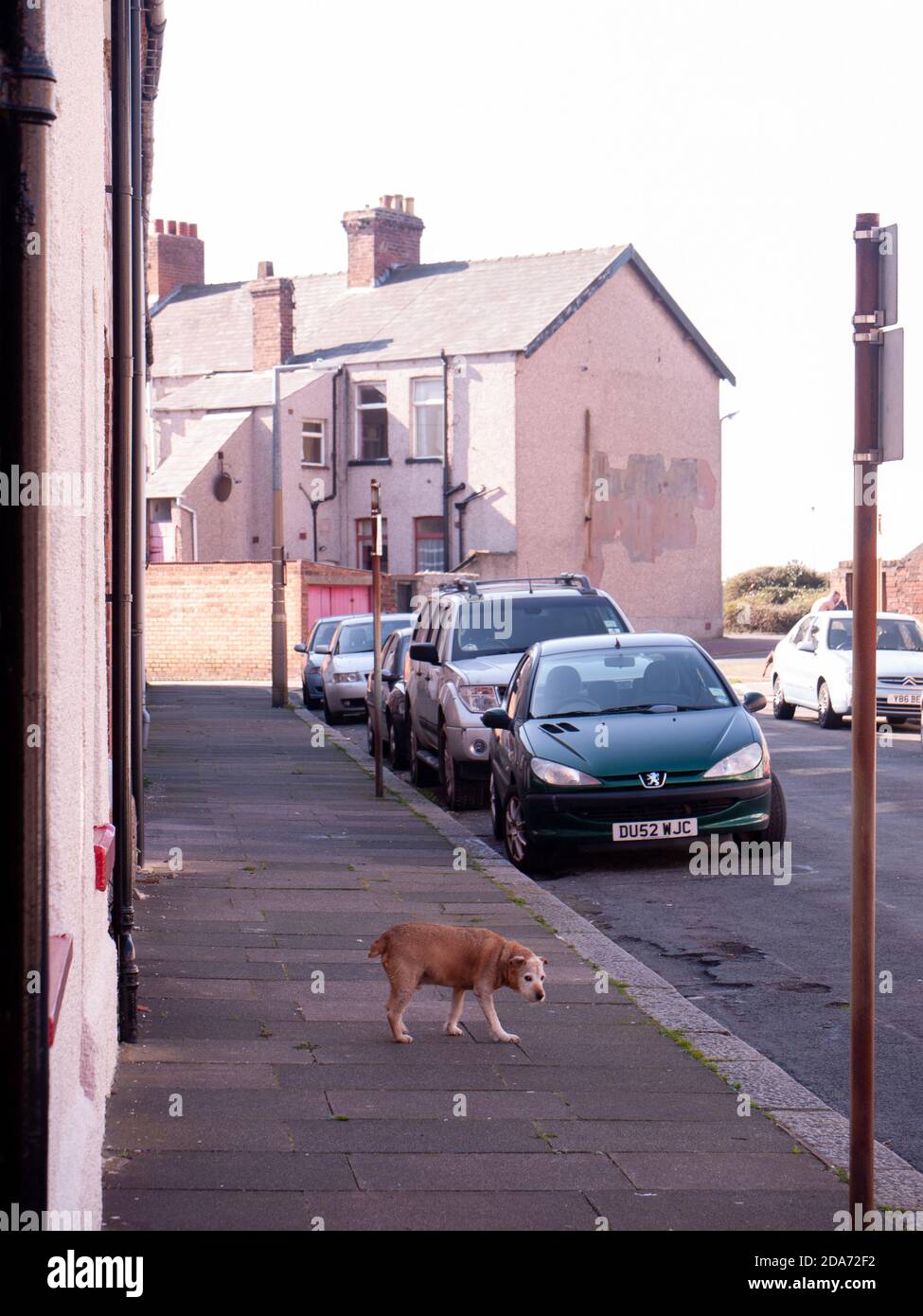 Backstreets in the area of the BAE systems Submarine construction site ...