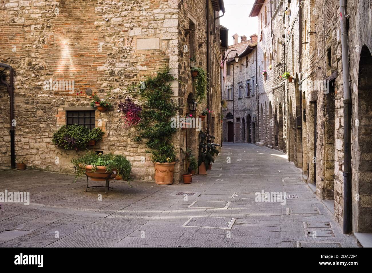 An alley of a medieval Italian village with stone houses, wooden doors ...