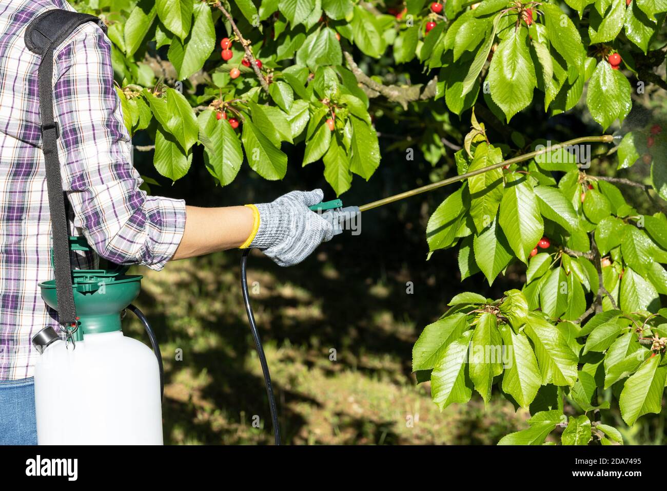 Natural herbicide insecticide hi-res stock photography and images - Alamy