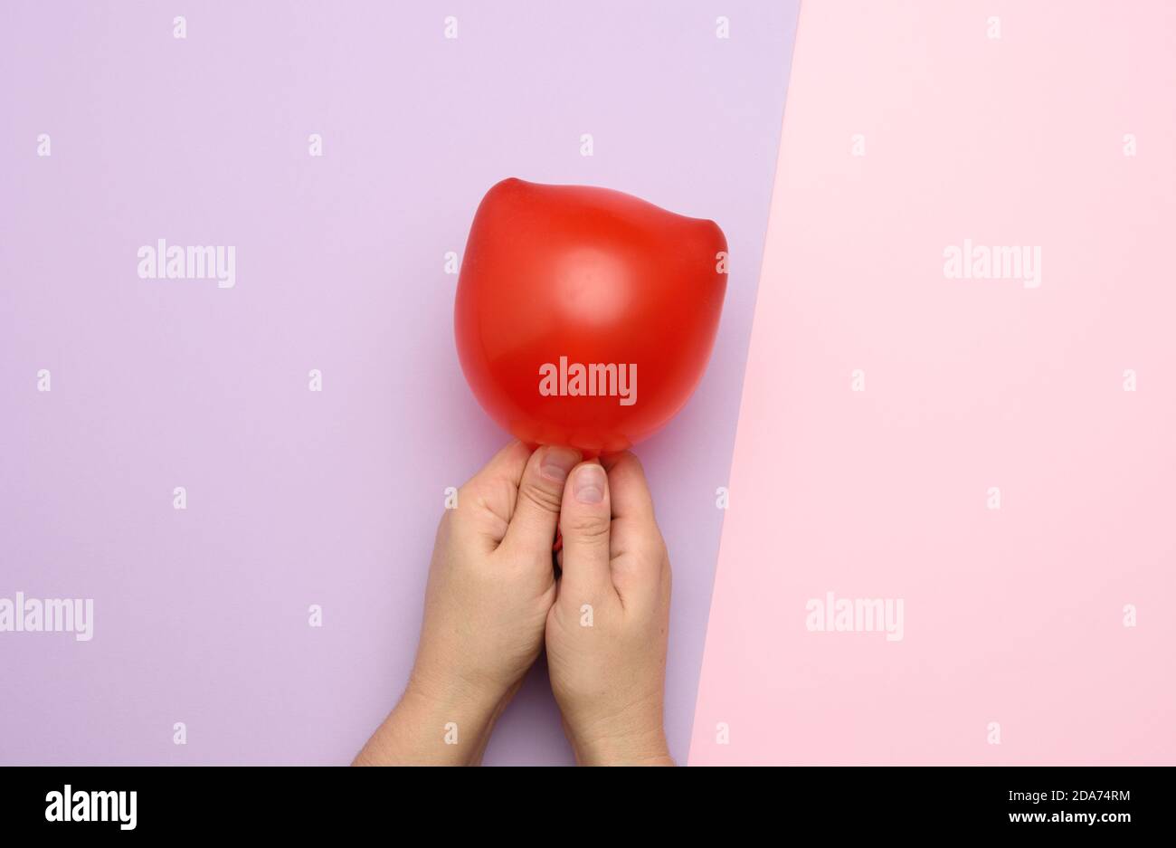female hand holding an inflated red air balloon on a pink background ...