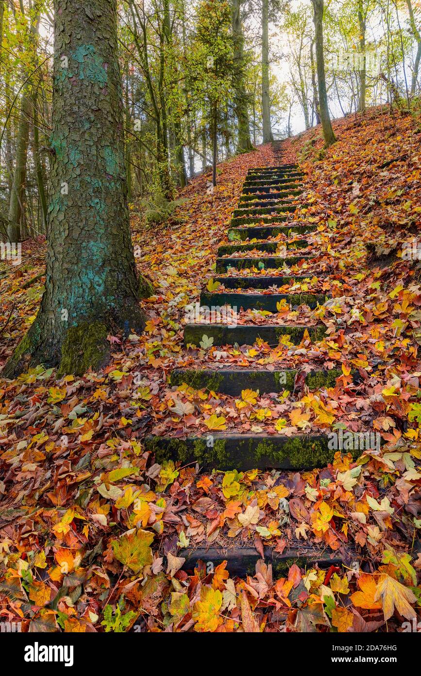 Multi Flight Stairway High Resolution Stock Photography and Images - Alamy