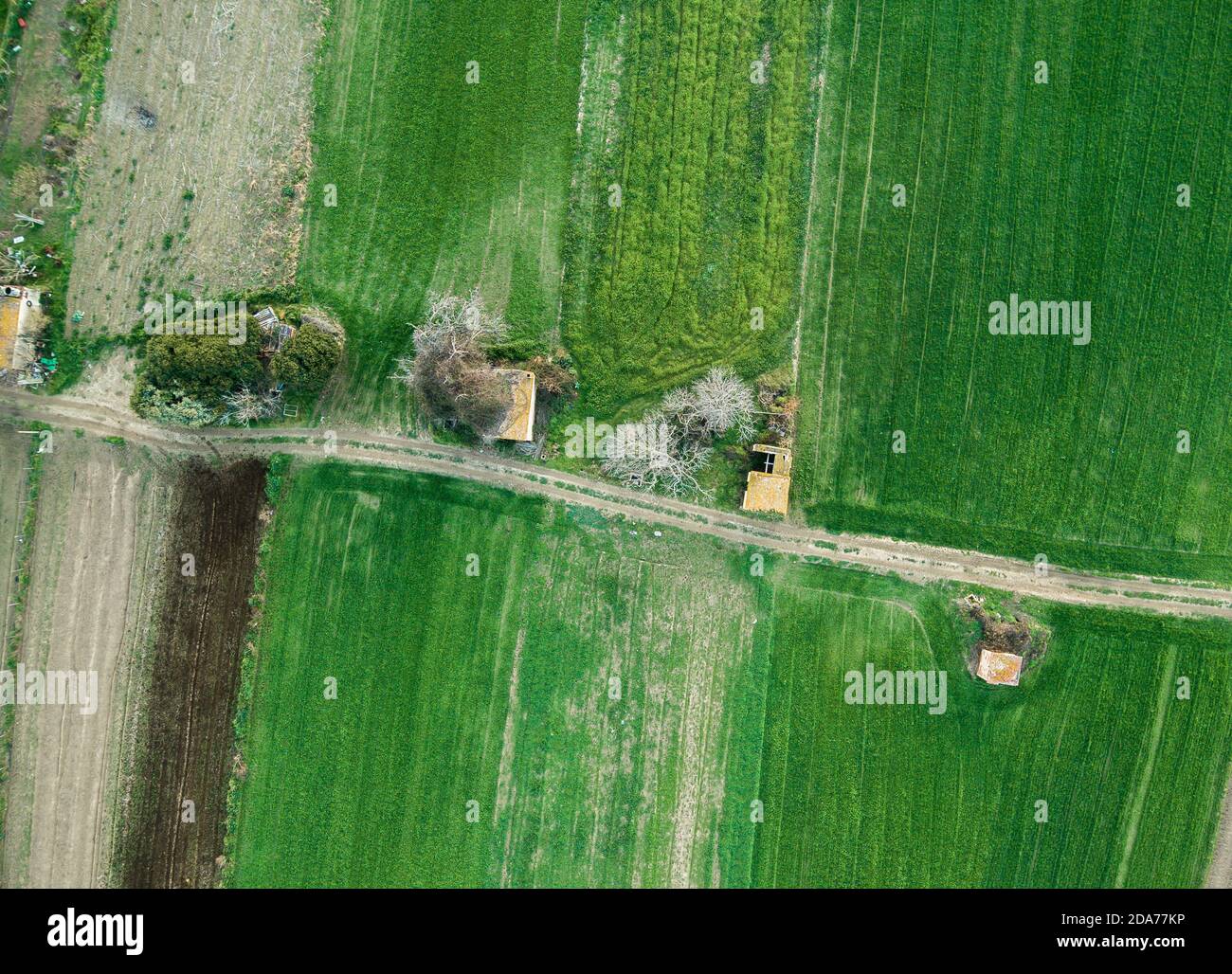 Aerial views of several fields of crops in a spring sunset Stock Photo ...