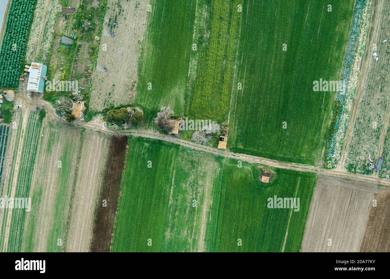 Aerial views of several fields of crops in a spring sunset Stock Photo ...