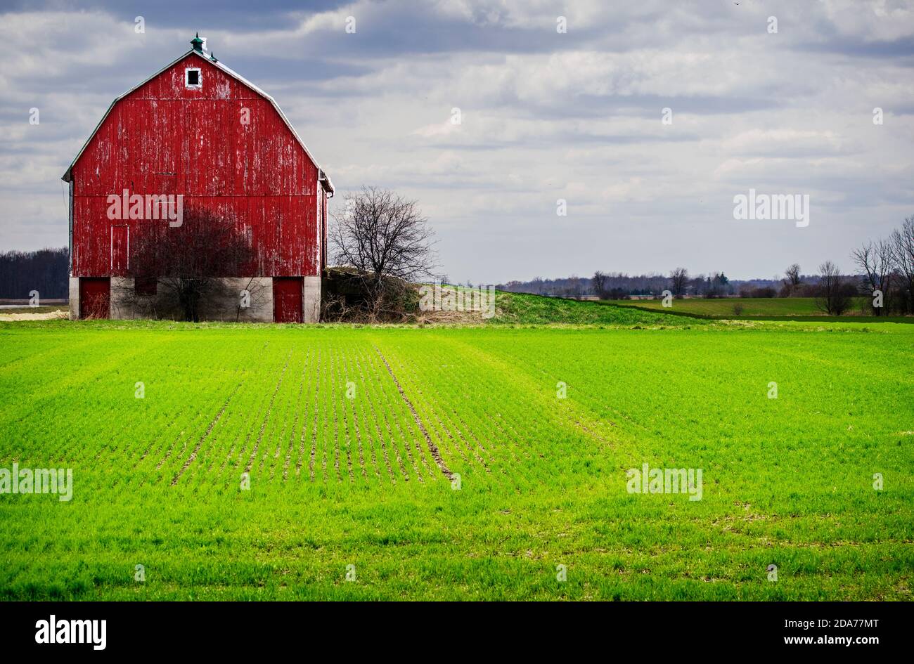 a red barn sits in a green field Stock Photo - Alamy