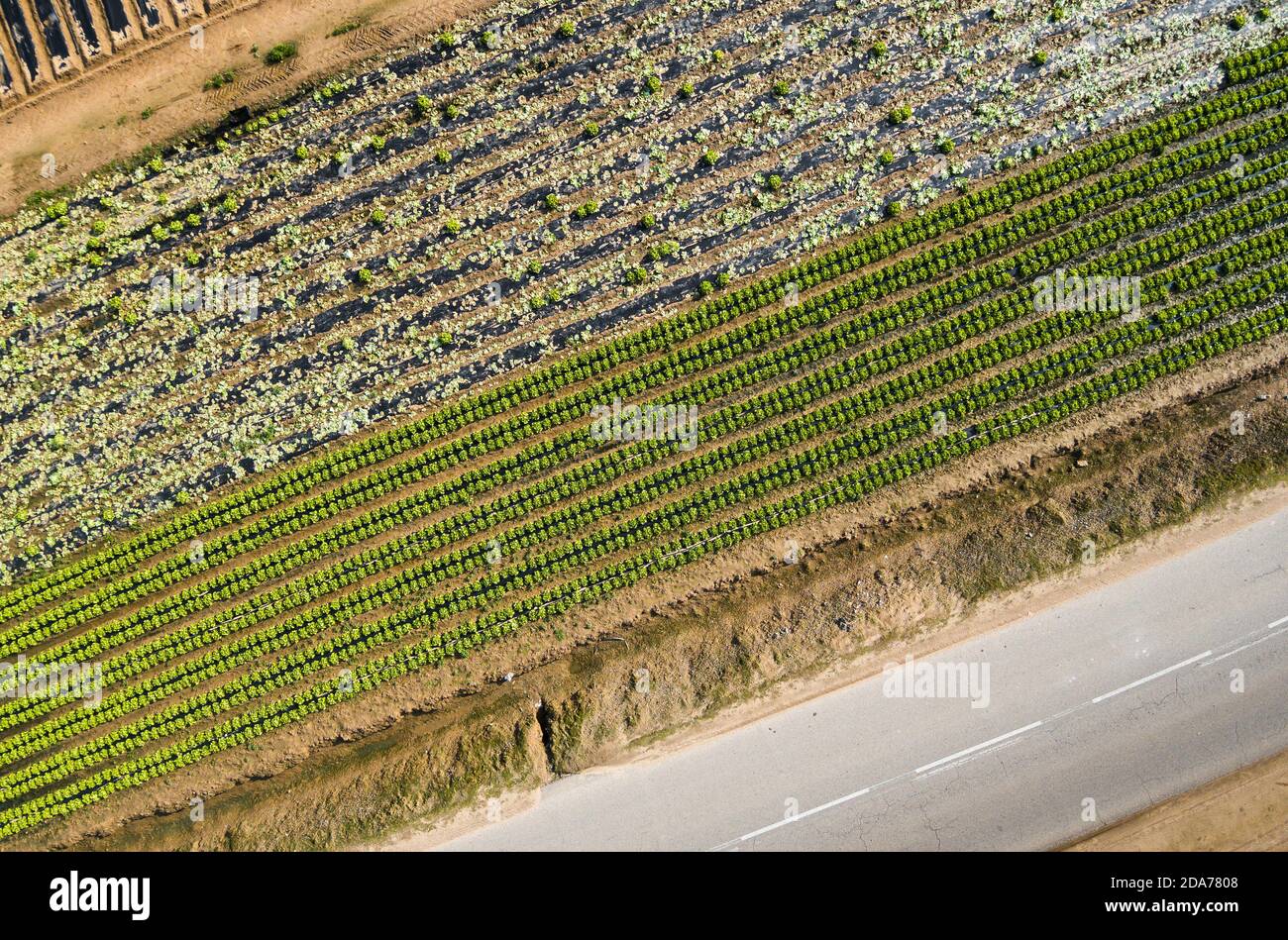 Several fields hi-res stock photography and images - Alamy