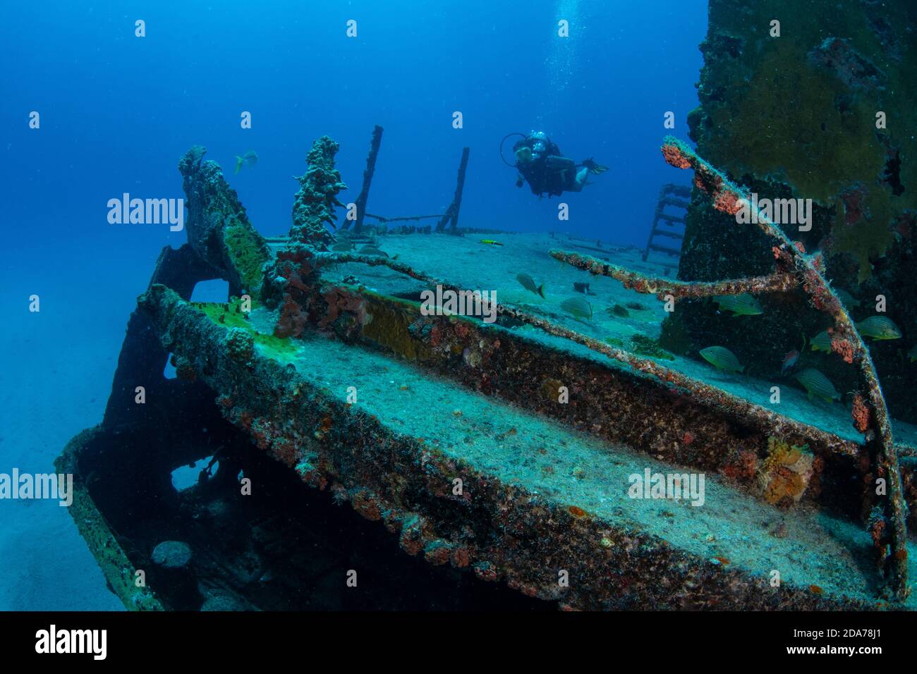 Woman diver on the wreck of Lucy's Barge off the island of St Martin ...