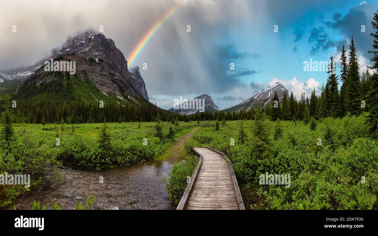Panoramic View of the Hiking Trail in the Green Meadows Stock Photo - Alamy