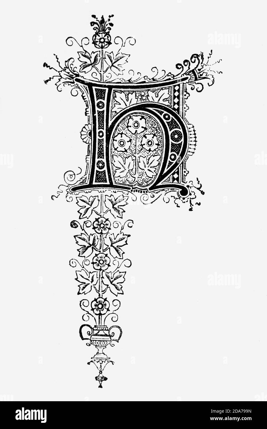 An ornately decorated letter used as an initial or drop cap at the ...