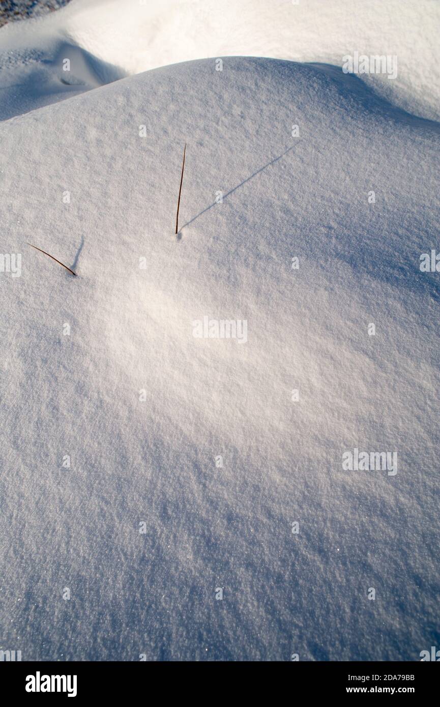 Winter landscapes in Borrowdale, Shap Stock Photo - Alamy