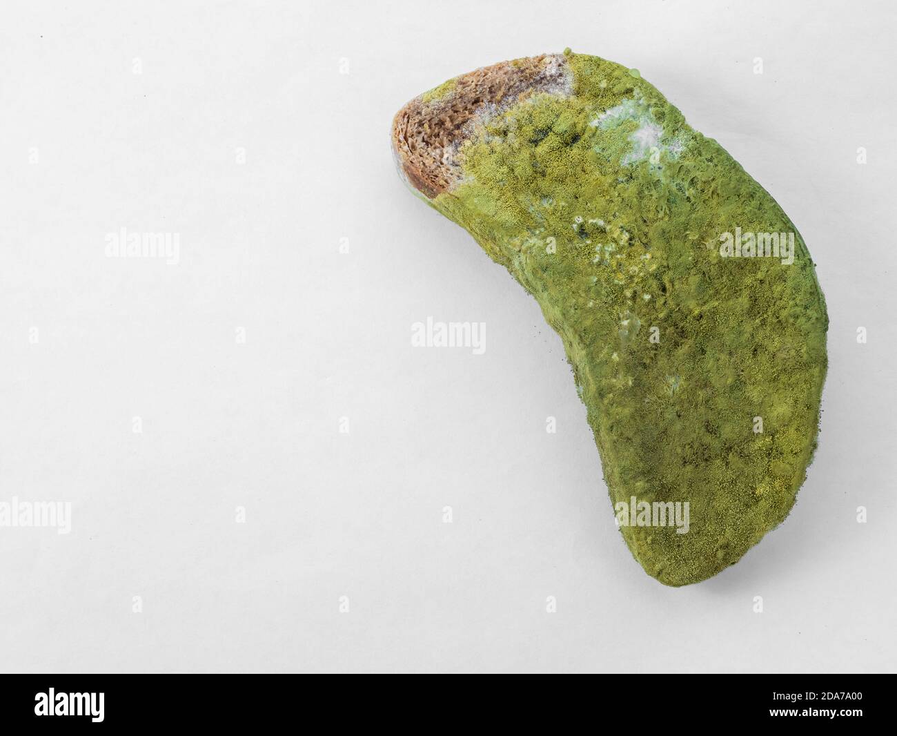 A piece of bread covered with green mold on a white background isolate ...