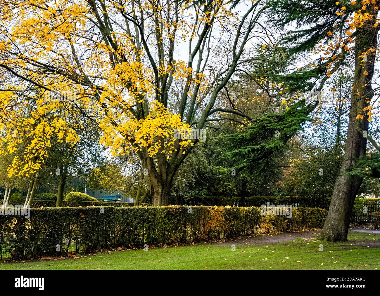 Clarence park hi-res stock photography and images - Alamy