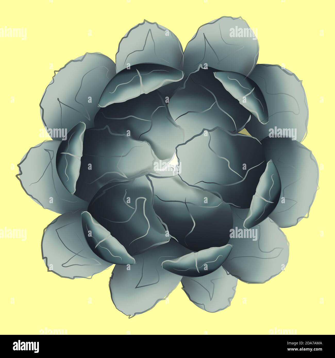 Plant flower like white Stock Vector Images - Alamy