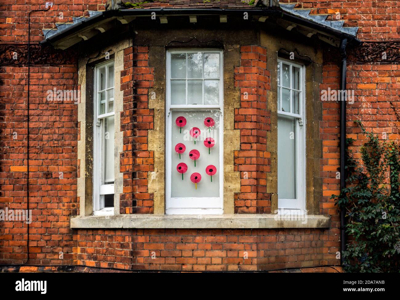 Remembrance day uk hi-res stock photography and images - Alamy
