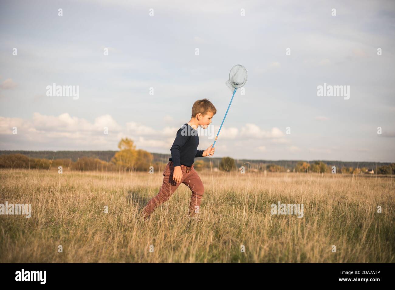Young boy with butterfly net walking meadow. Child playing catching ...