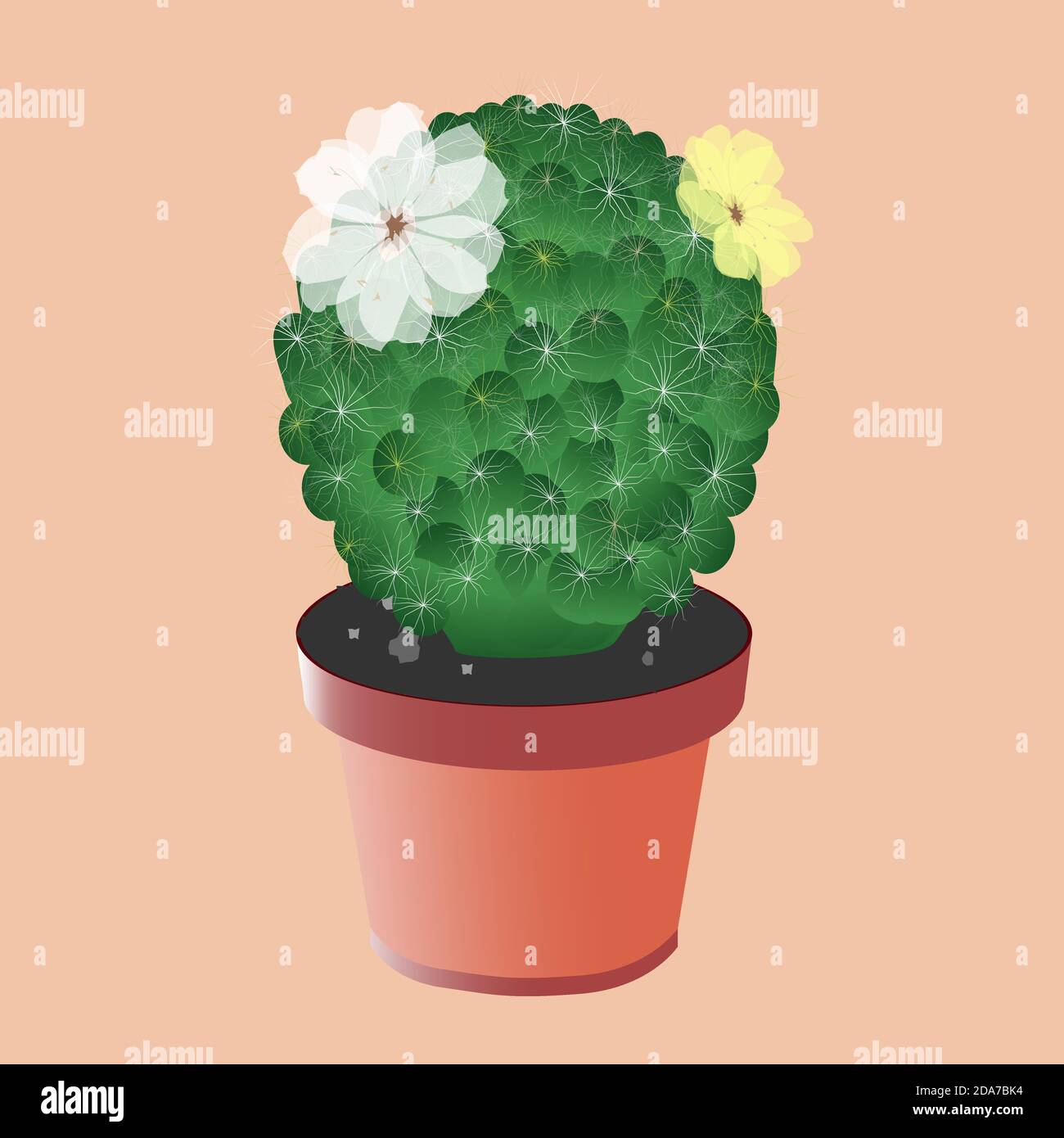 Plant flower like white Stock Vector Images - Alamy