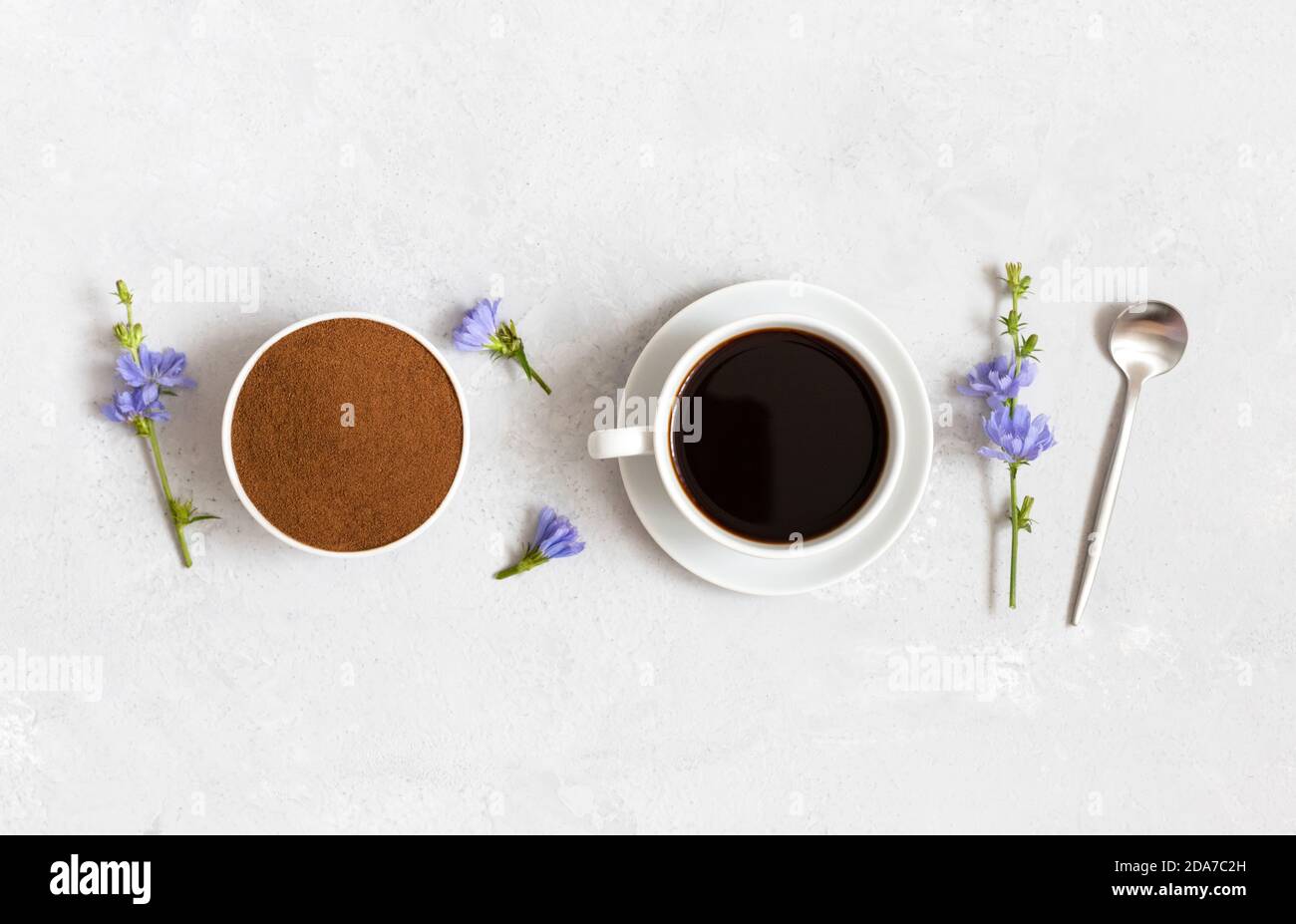 Chicory drink, ground chicory root and blue flowers on a white ...