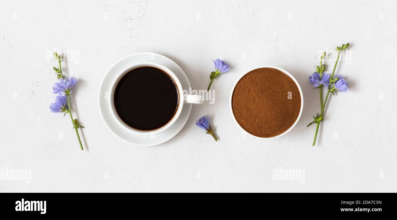 Chicory drink, chicory powder in a bowl and blue flowers on a white ...