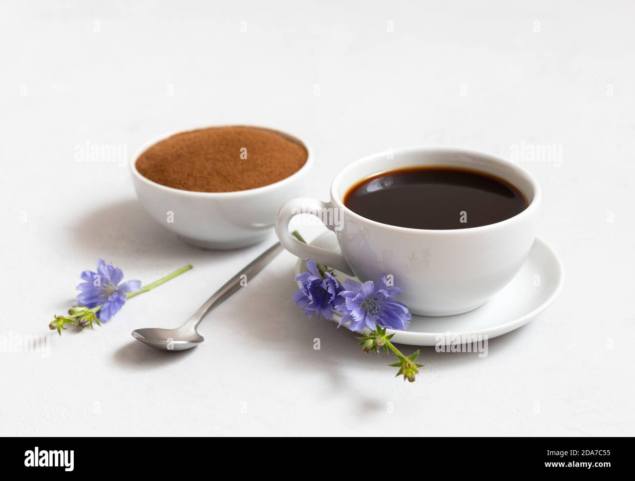 Chicory drink, chicory powder and blue flowers on a white background ...