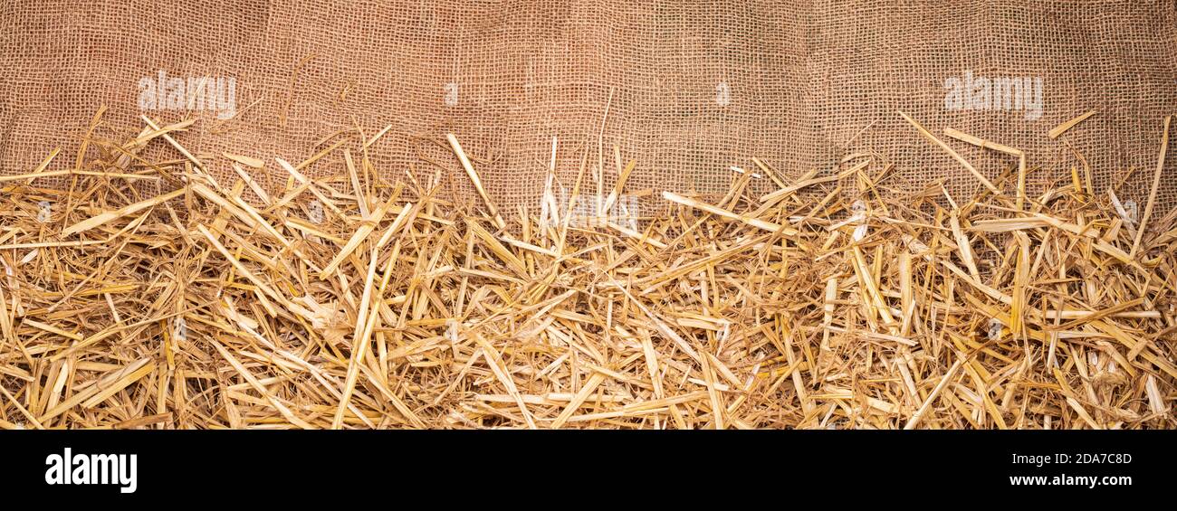 a bunch of straw as border on a jute background Stock Photo - Alamy