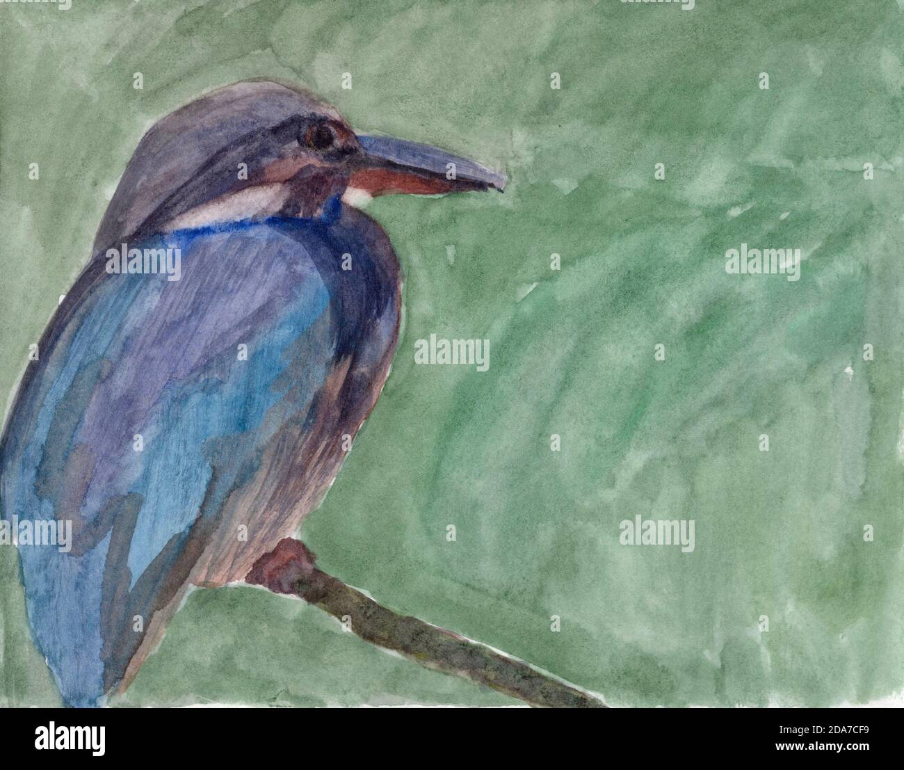 bird watercolor sketch drawing painting Stock Photo - Alamy