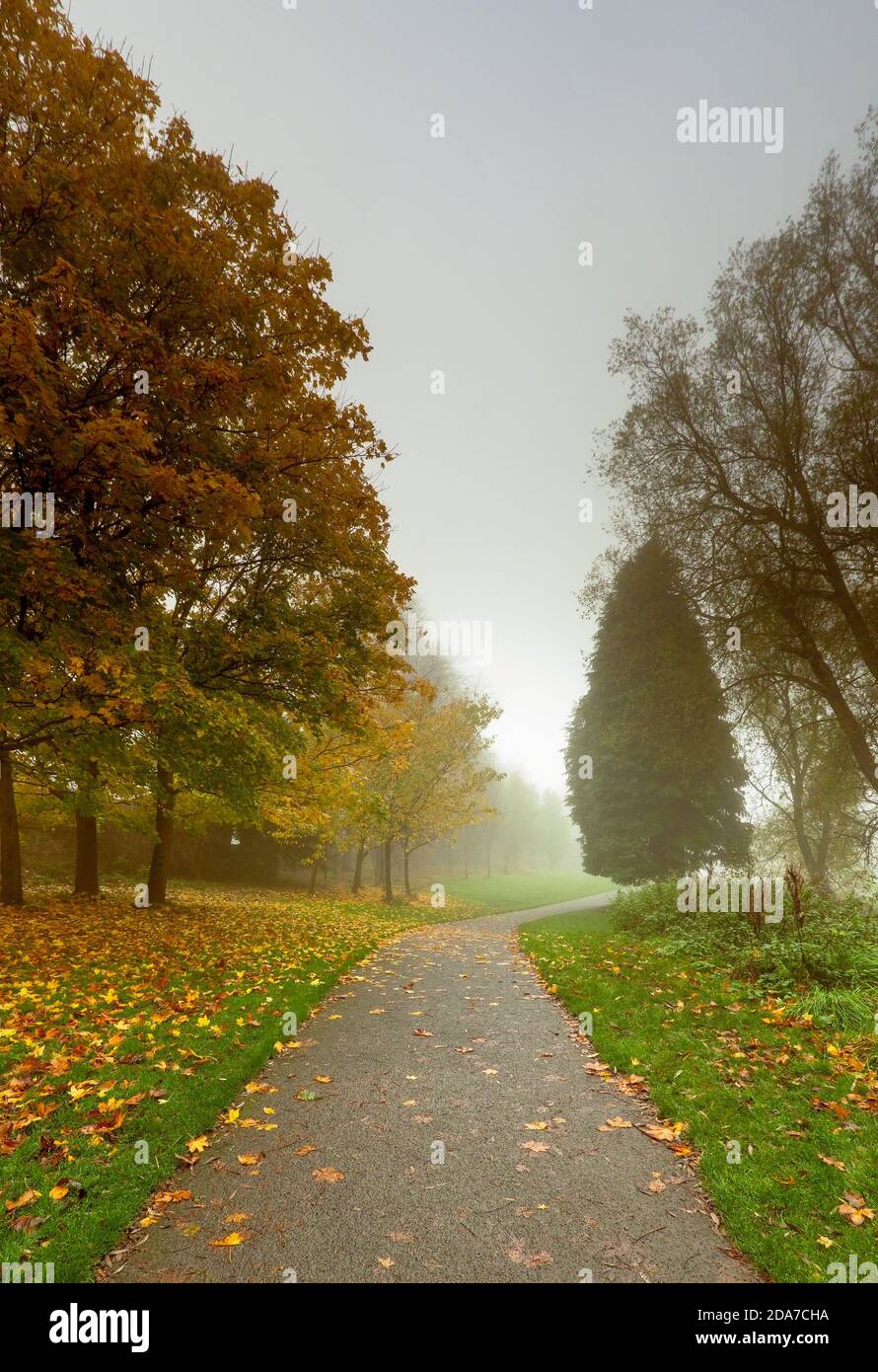 Misty conditions at Figgate Park, Edinburgh, Scotland, UK Stock Photo ...