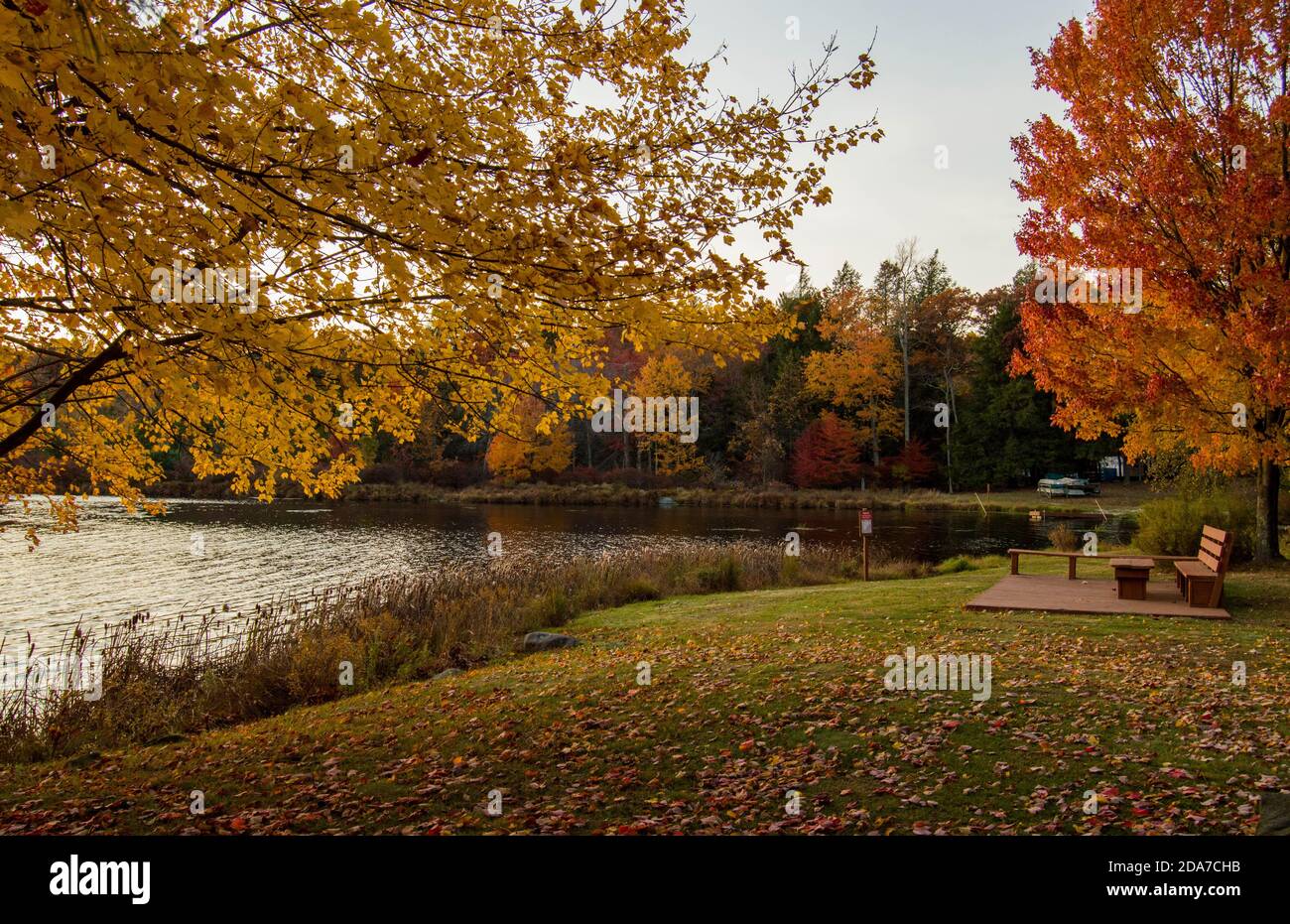 Gorgeous Autumn Day at a Pennsylvania Lake Stock Photo - Alamy