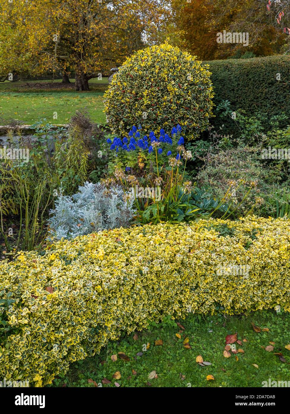 Garden Hedge and Flowers, Englefield House Gardens, Englefield ...
