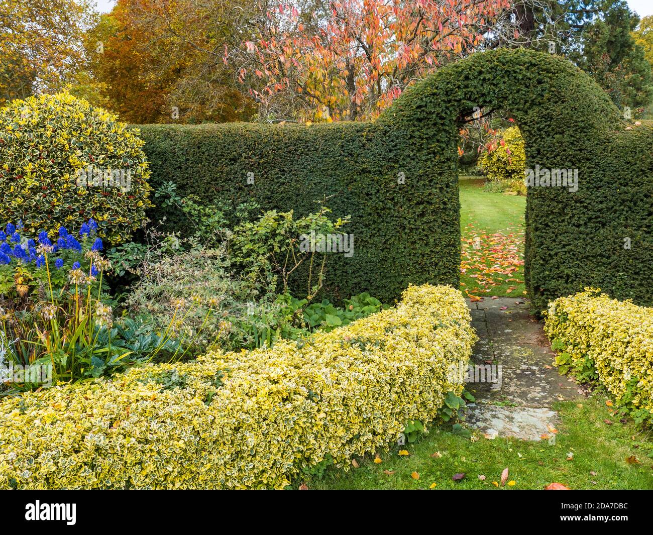 Hedge arch hi-res stock photography and images - Alamy