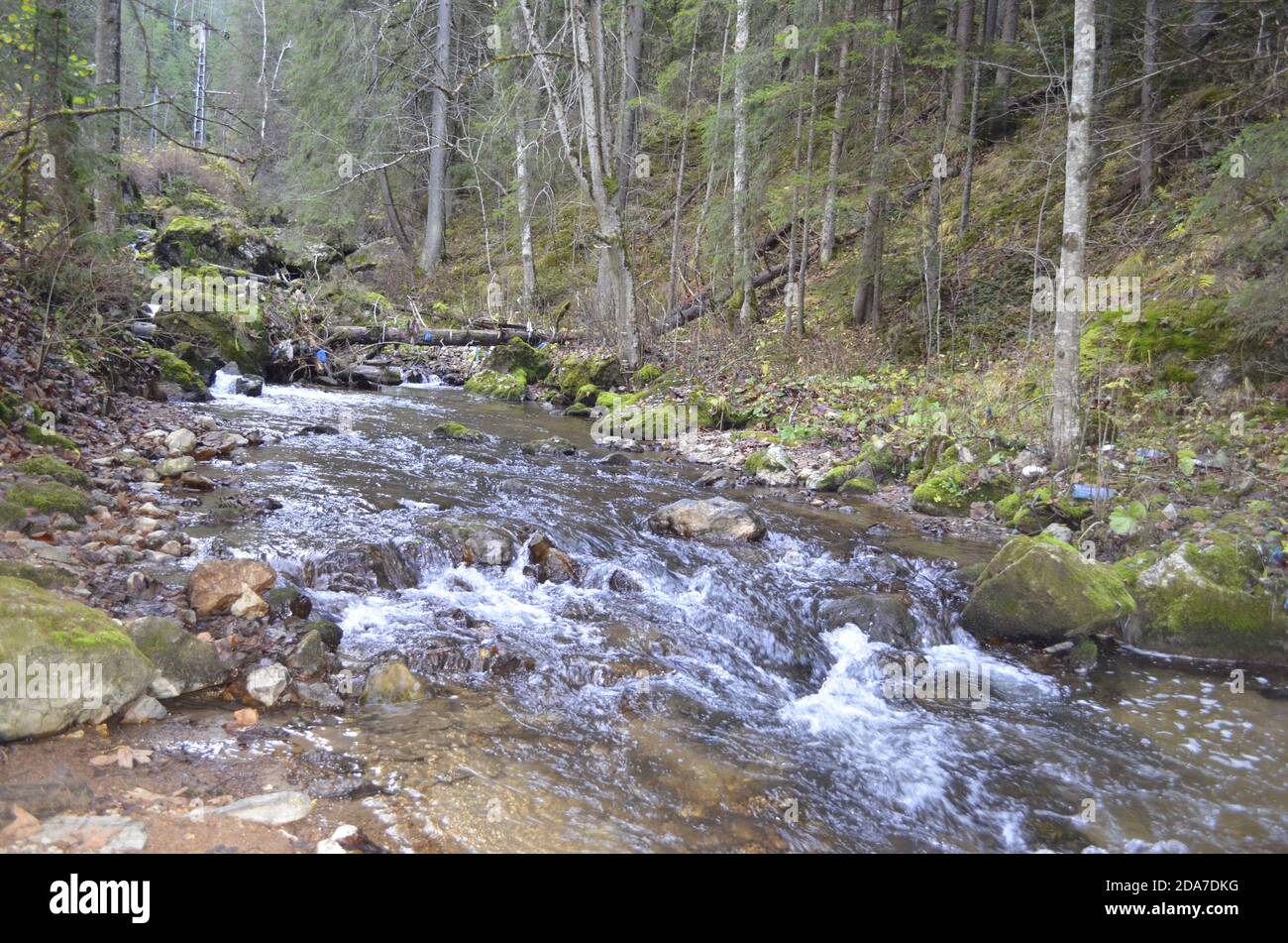 Beautiful path to river hi-res stock photography and images - Alamy