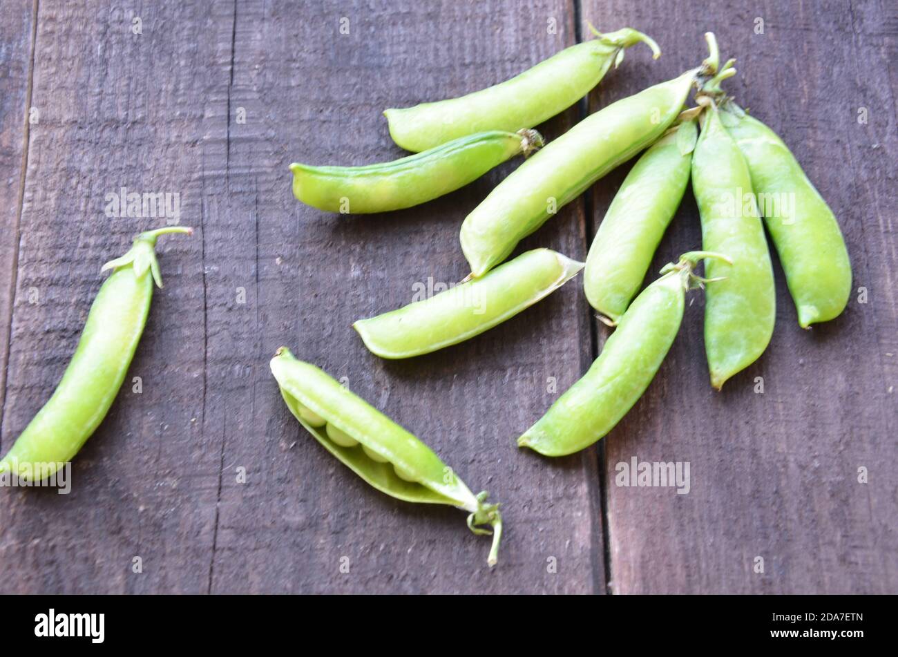 fresh green peas, just harvest. close up view of opened pod. spring ...