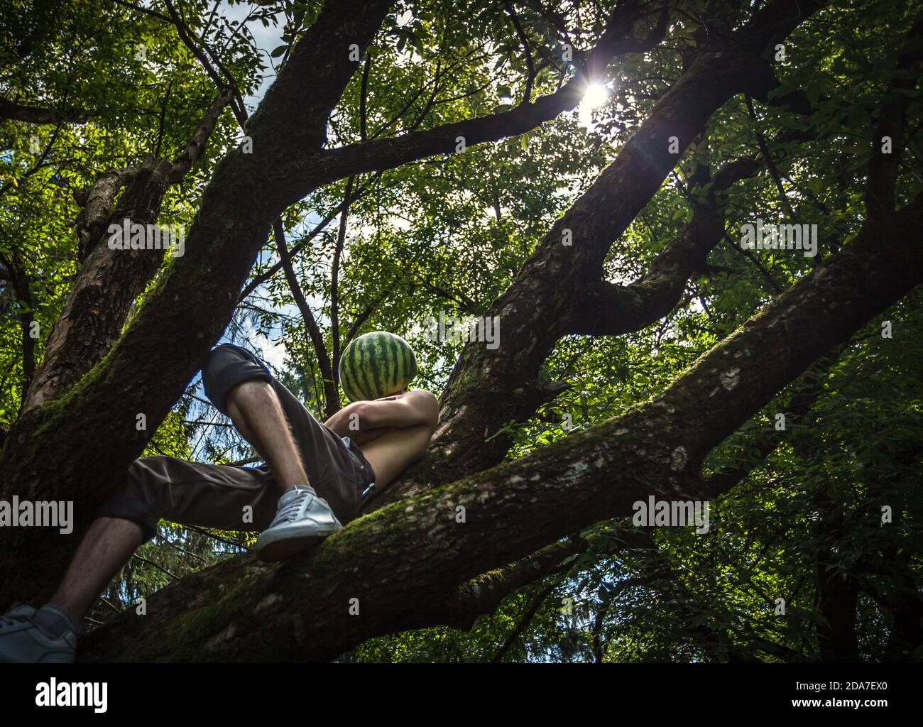 Organic food and healthy lifestyle concept. Humorous ironic photo of a ...